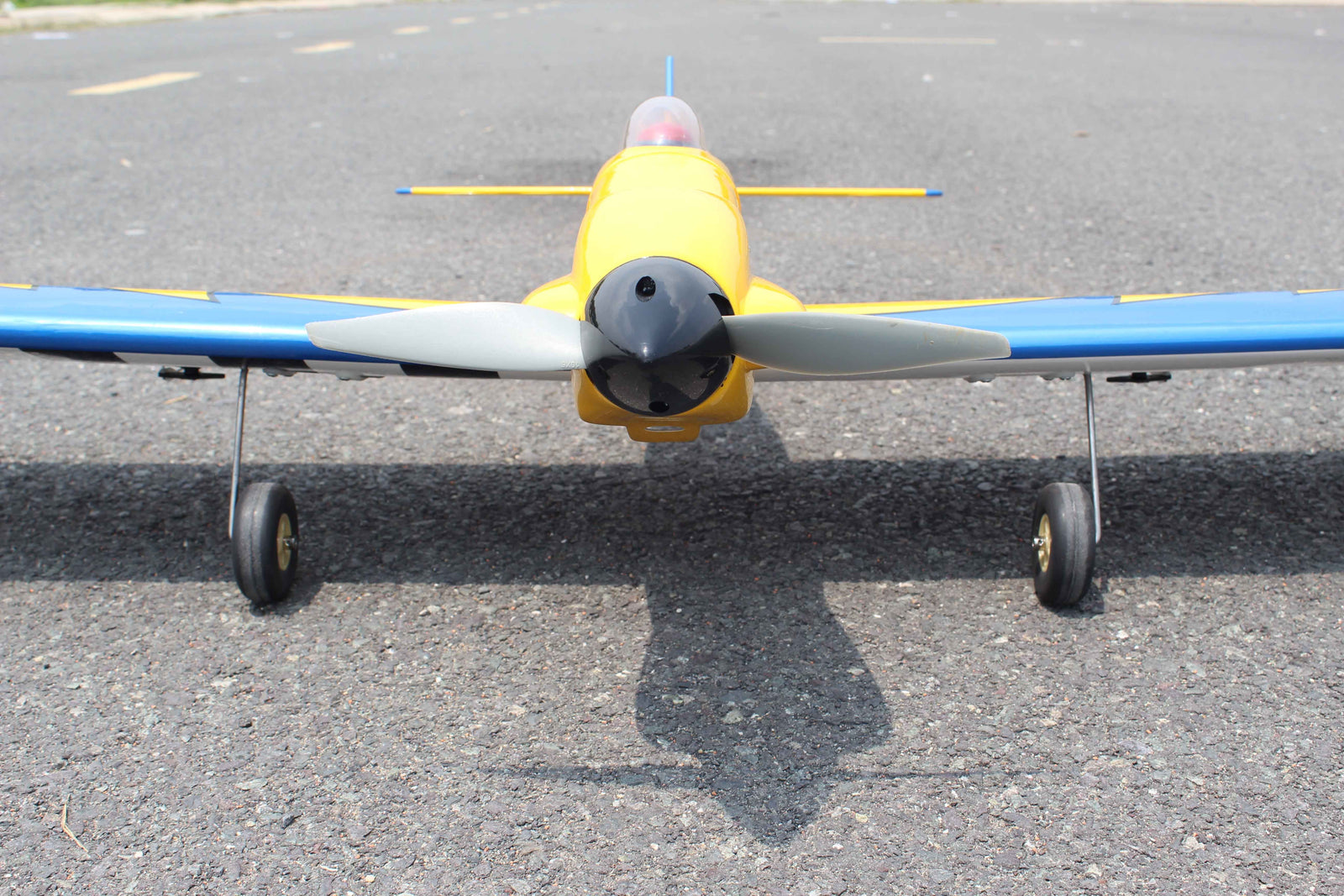 Magic Bird EF1 Racer PNP | Seagull Model